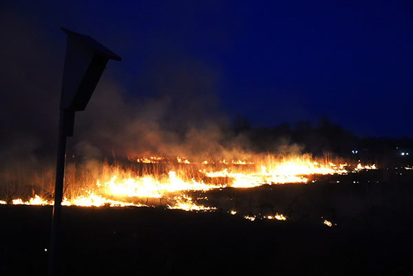 Prairie burn at Grimes Farm | News, Sports, Jobs - Times Republican